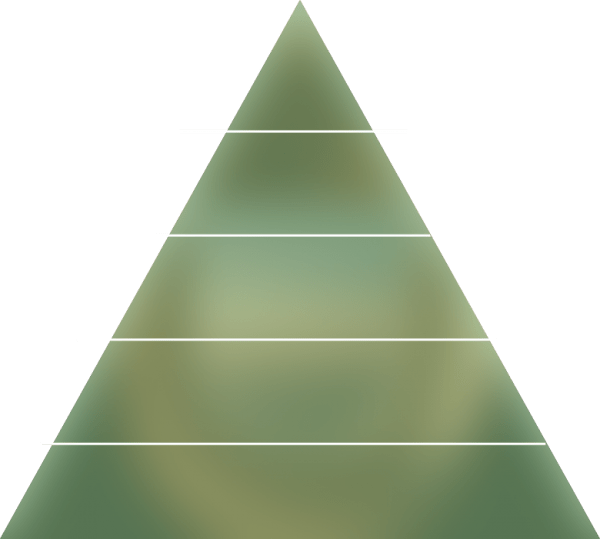 Investment Risk Management (Asset Allocation and Annuities) - Bedrock